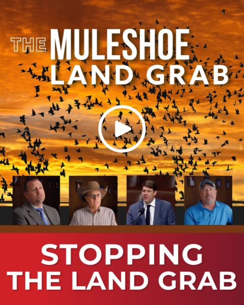 New Release: The Muleshoe Land Grab Video - American Stewards of Liberty
