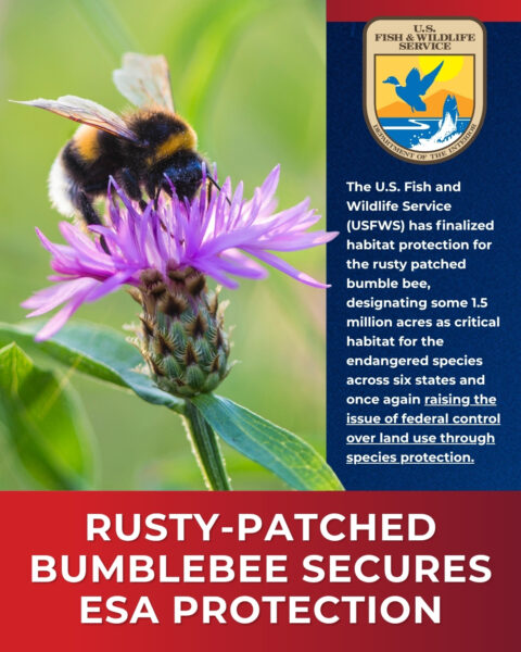 USFWS Finalizes ESA Protection for Rusty-Patched Bumblebee - American ...